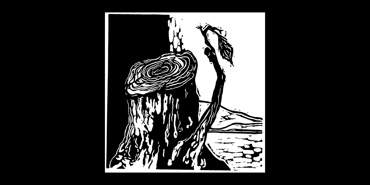 Branch, Stump of Jesse | Calvin Institute of Christian Worship