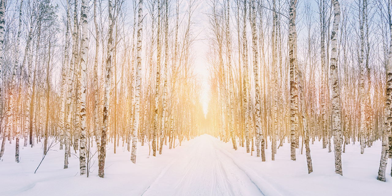 First Sunday of a New Year | Calvin Institute of Christian Worship